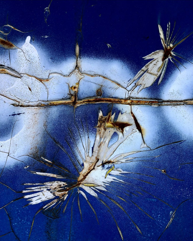 TGLR Issue #16 ~ Summer 2024 ~ The HoneyBee Prize Edition